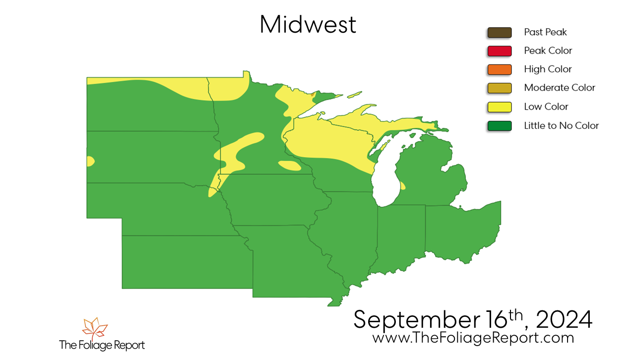 Midwest Region Report - The Foliage Report